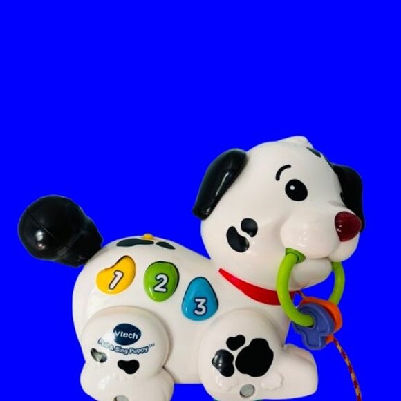 vtech | Toys | Vtech Pull And Sing Puppy Baby Learning Toy Floor Play ...